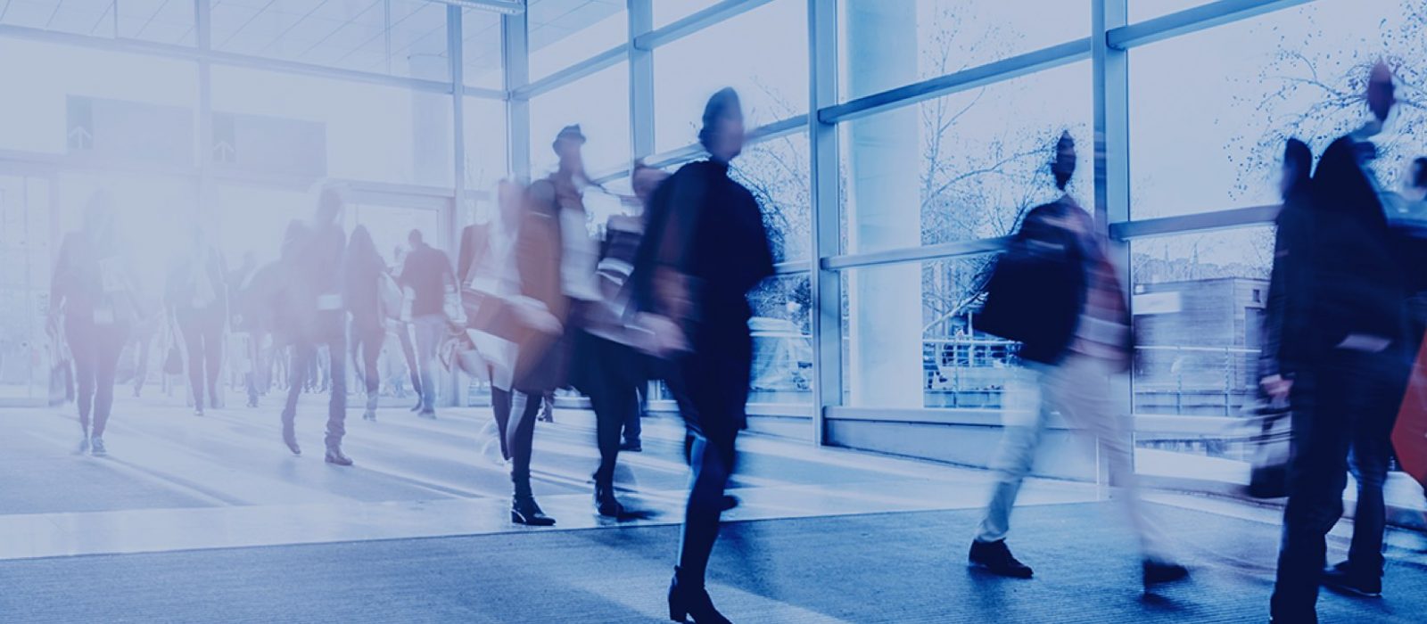 Velocity Trade Capital FR - Velocity Trade